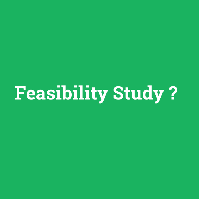 Feasibility Study Ne Demek Anlami nedir